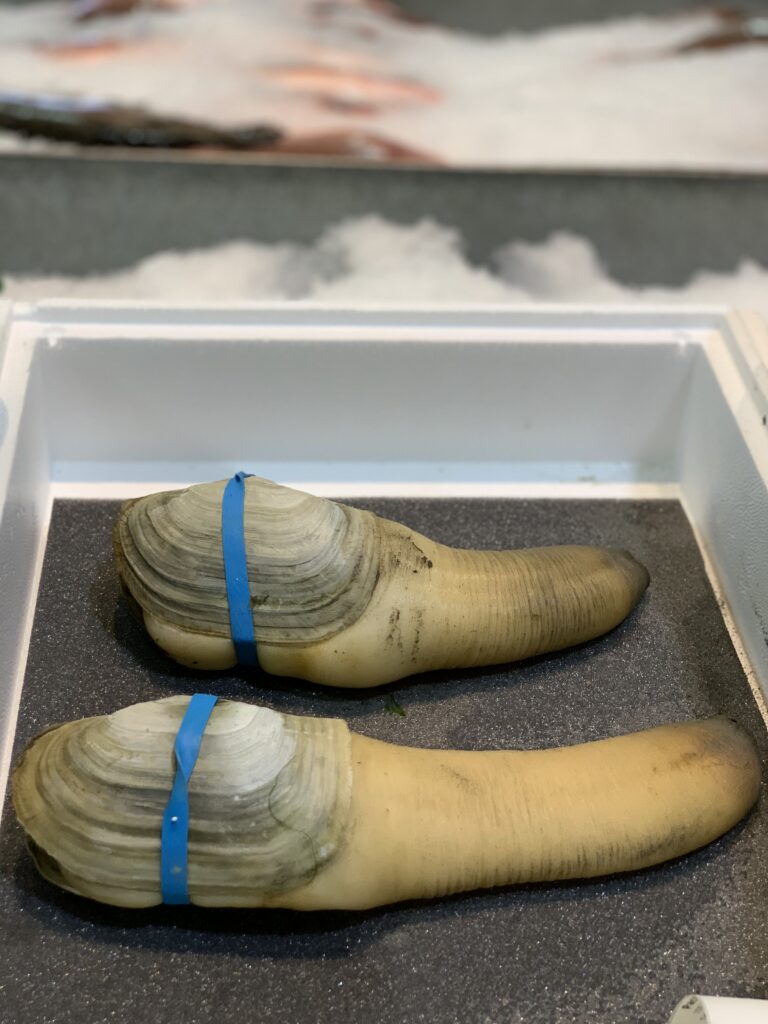 Products – Fog River